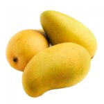 Dusheri Mango - Mango Bite